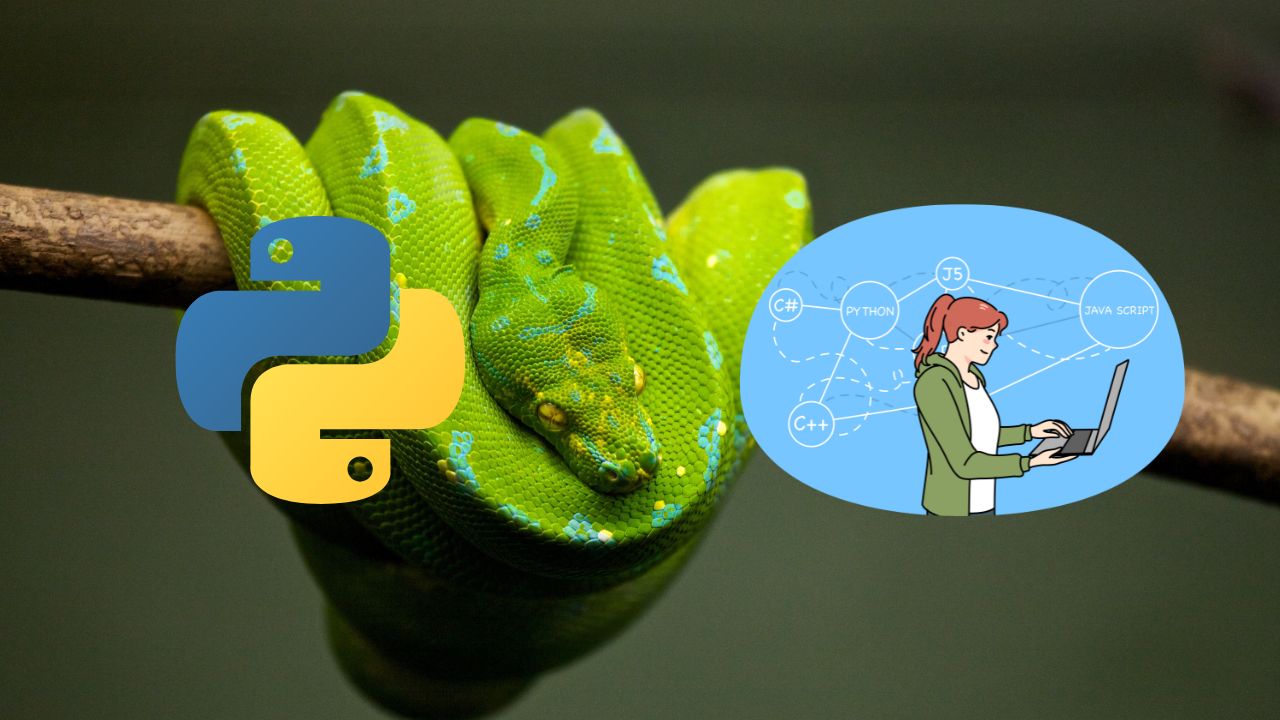 Your Guide to Learning Python: A Beginner’s Journey | Bastaki Software Solutions